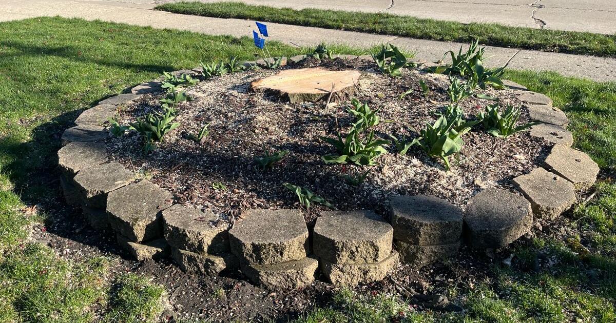 Free landscape blocks for Free in Arlington Heights, IL | For Sale ...