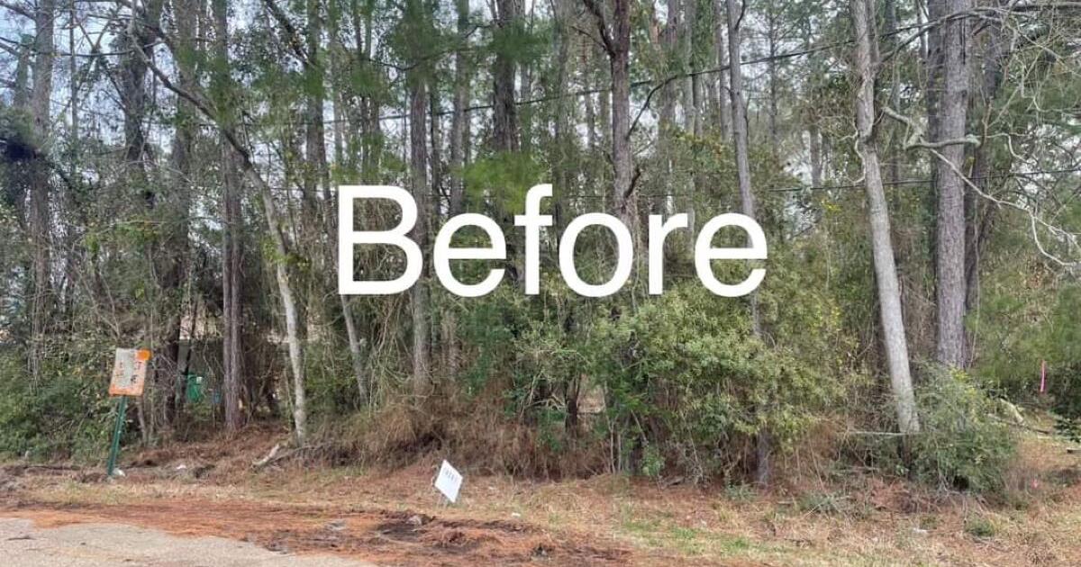 Tree work, debris and root ball removal, dirt work for Free in Martinez ...