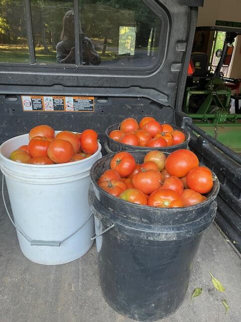 Kellner, Wisconsin Rapids | Everything You Need to Know