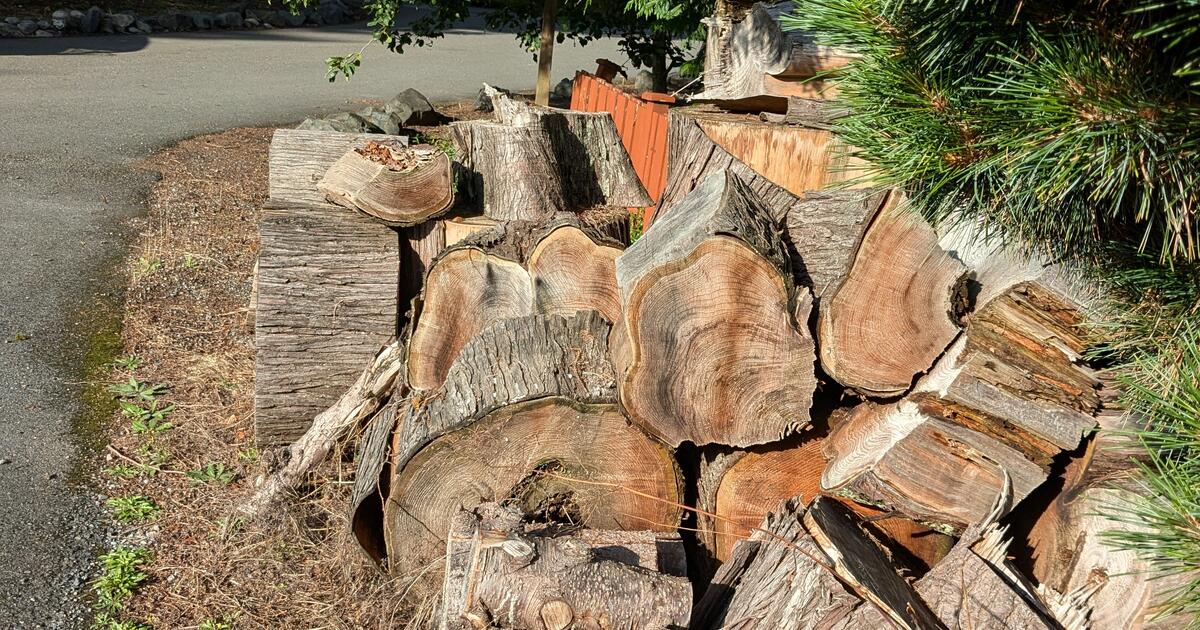 Free Cedar Split And Rounds for Free in Bothell, WA | For Sale & Free ...