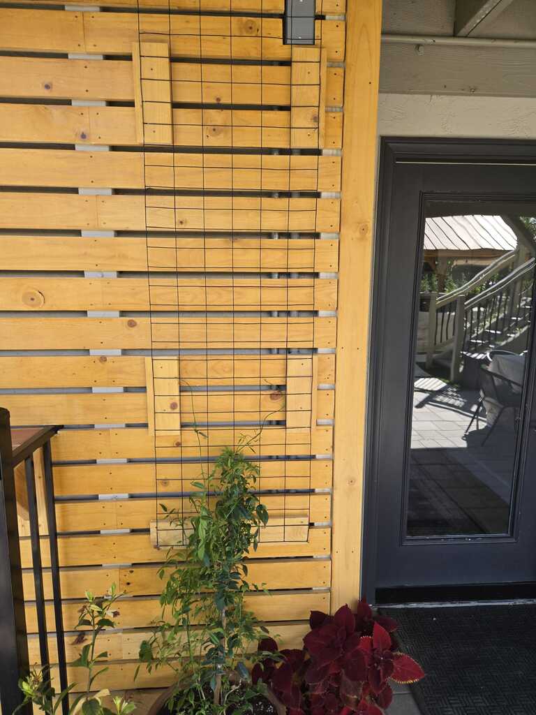 Rod creative mind - San Diego, CA - Nextdoor