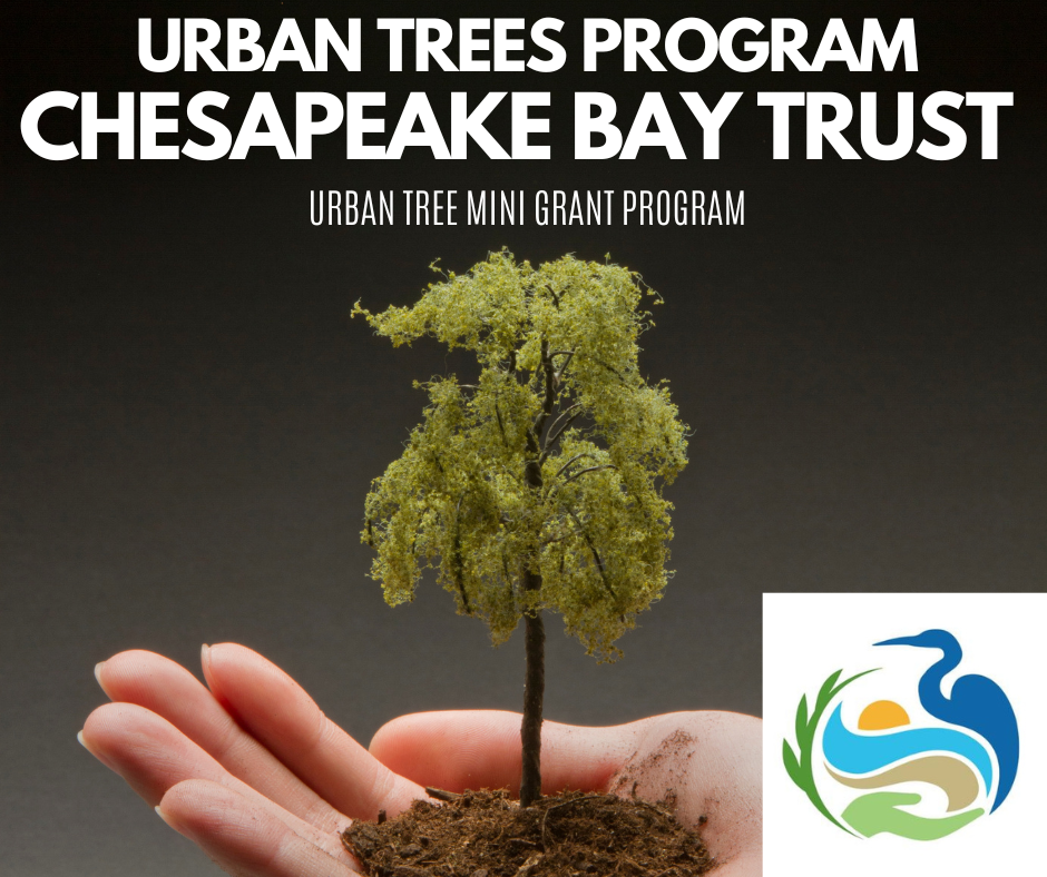 The Urban Trees Program and the Chesapeake Bay Trust are happy to ...
