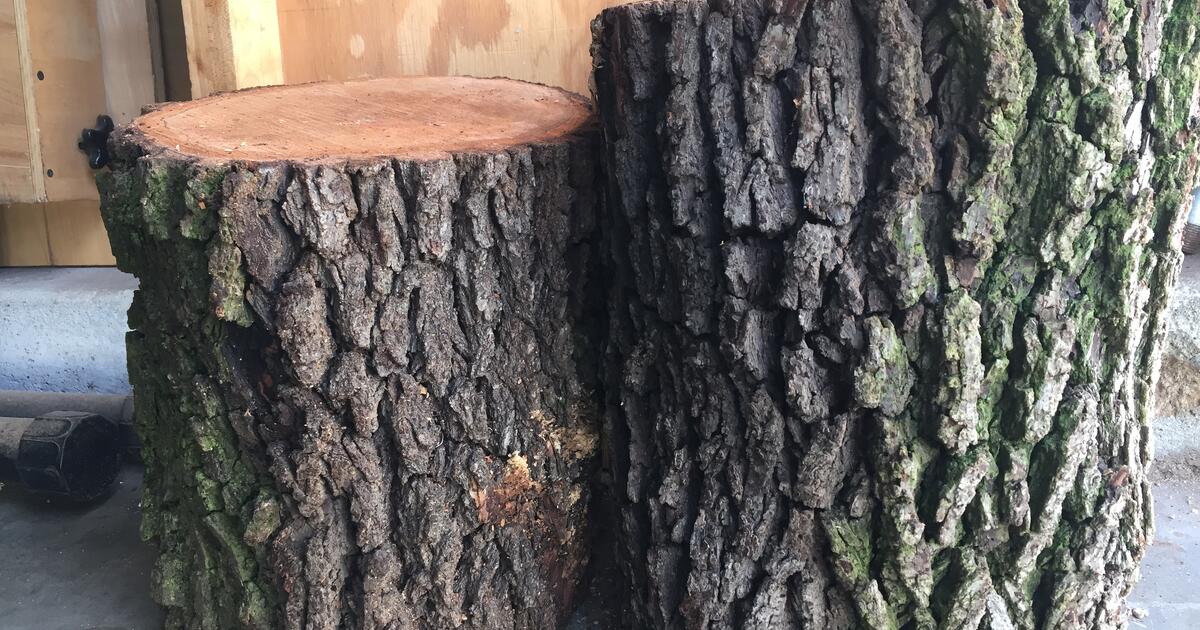 Tree Logs for Free in Reseda, CA | For Sale & Free — Nextdoor