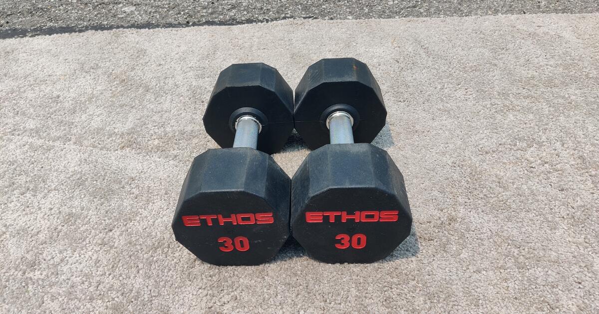 Ethos 30-Lb Rubber Coated Dumbbells. for $75 in Carmel, IN | For Sale & Free — Nextdoor