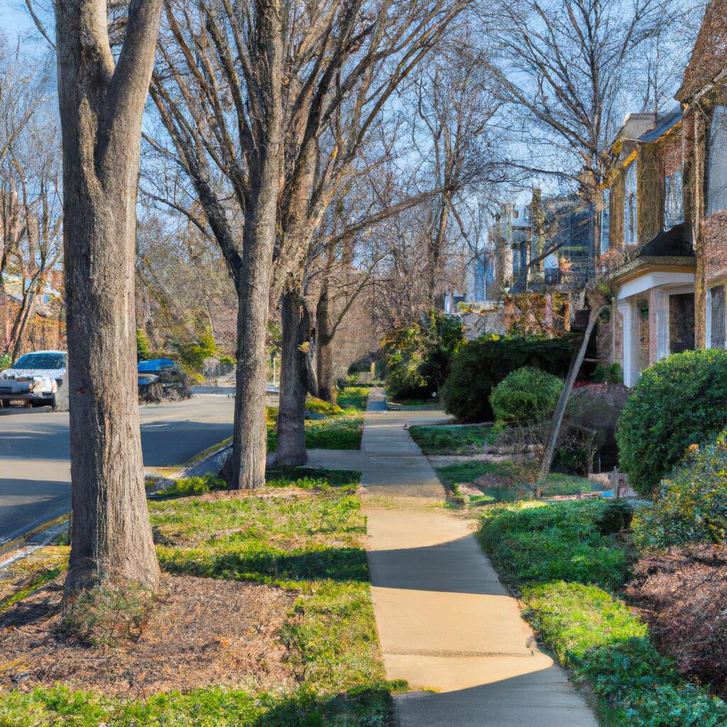 Barcroft, Arlington | Everything You Need to Know