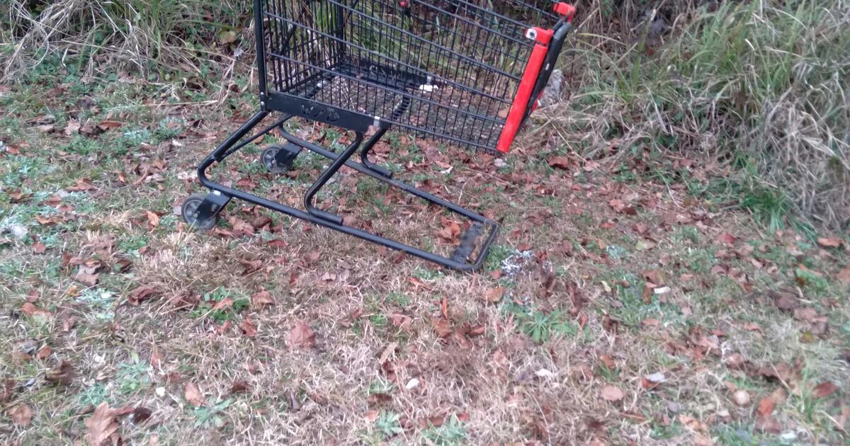 Scrap Metal - full size shopping cart for Free in Raleigh, NC | For ...
