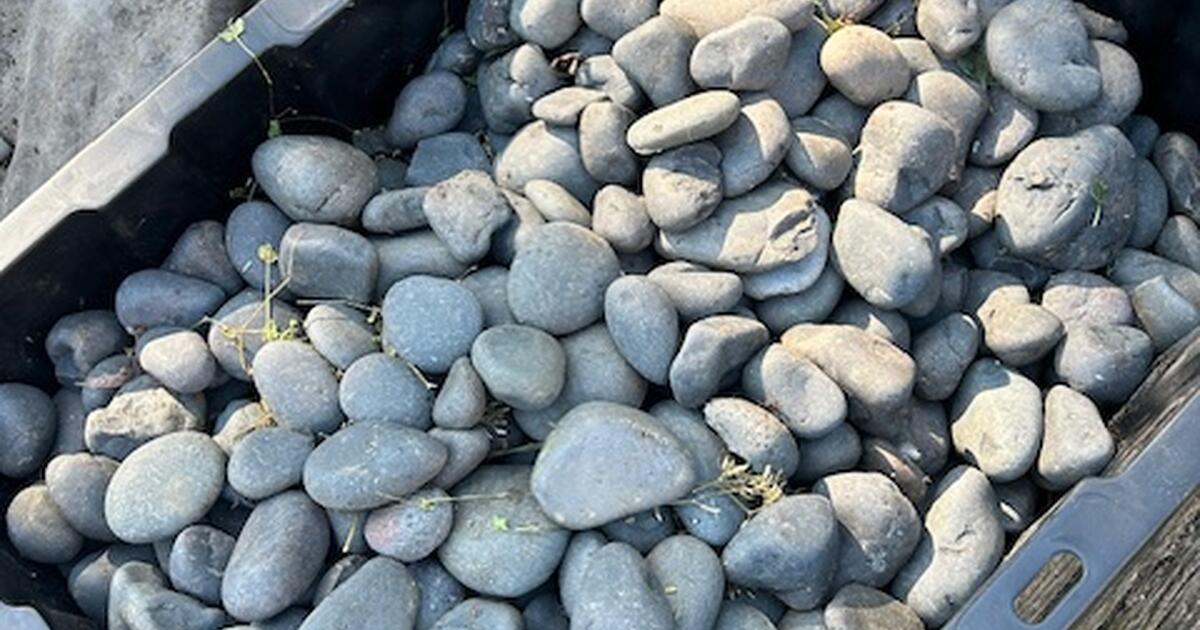 Mexican Beach Pebbles for Free in Baltimore, MD | For Sale & Free ...