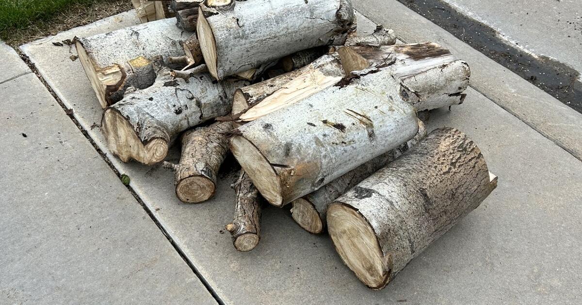 Free Aspen Logs/Firewood for Free in Parker, CO | For Sale & Free ...