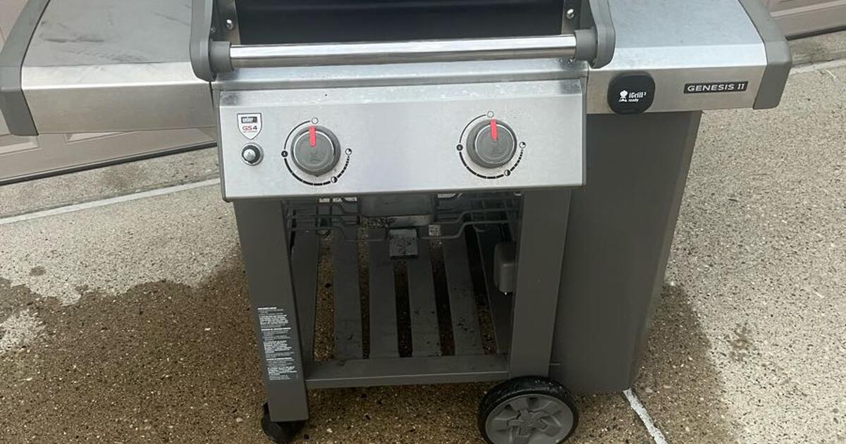 Weber Genesis 2 Burner for $140 in Rochester Hills, MI | For Sale ...