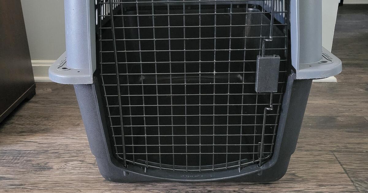 Medium Petmate Porter for $20 in Charlotte, NC | For Sale & Free — Nextdoor