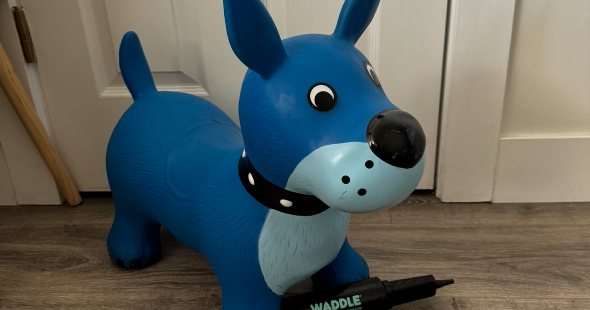 Waddle Blue Dog Toy for Free in Aurora, CO | For Sale & Free — Nextdoor