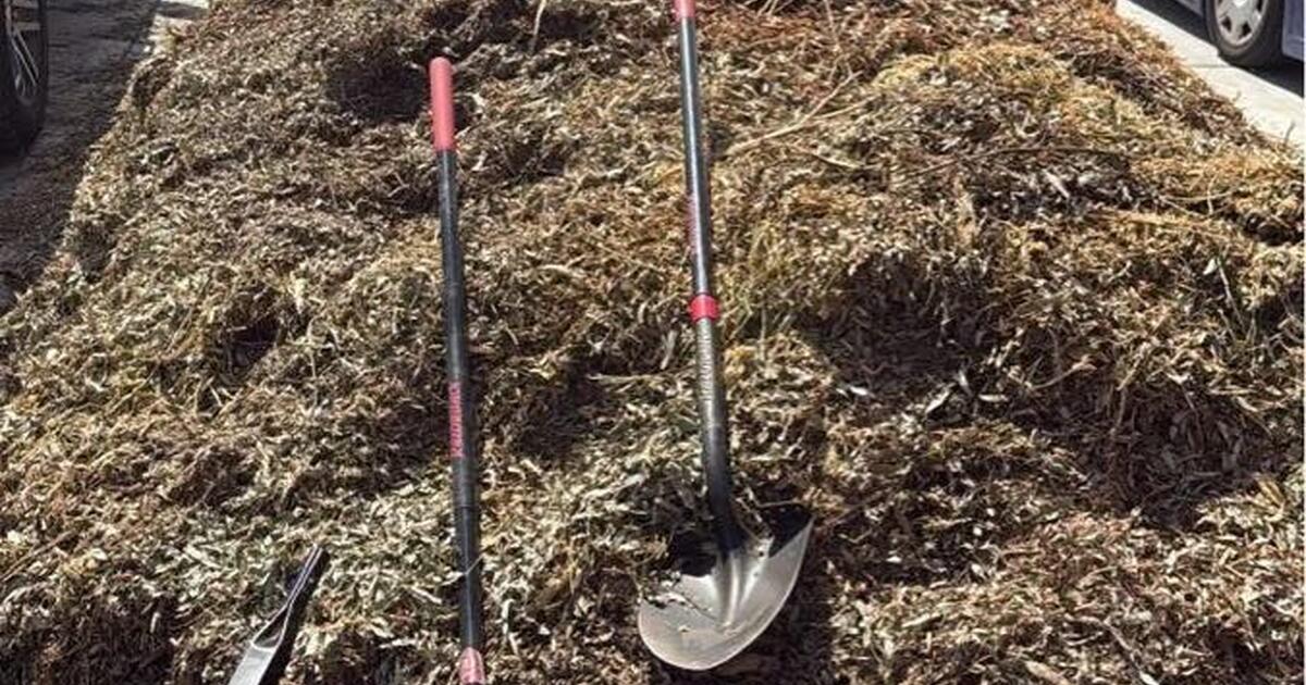 Chip drop wood chips for Free in Glendale, AZ | For Sale & Free — Nextdoor