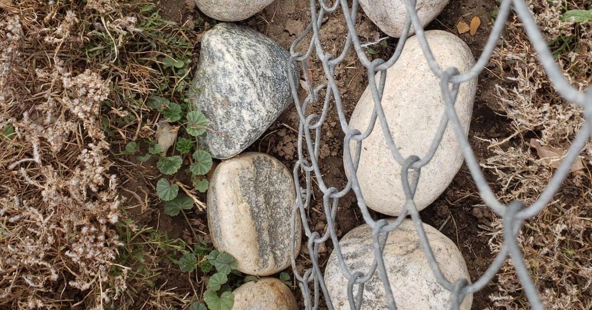 Free River Rocks for Free in Wheat Ridge, CO | For Sale & Free — Nextdoor