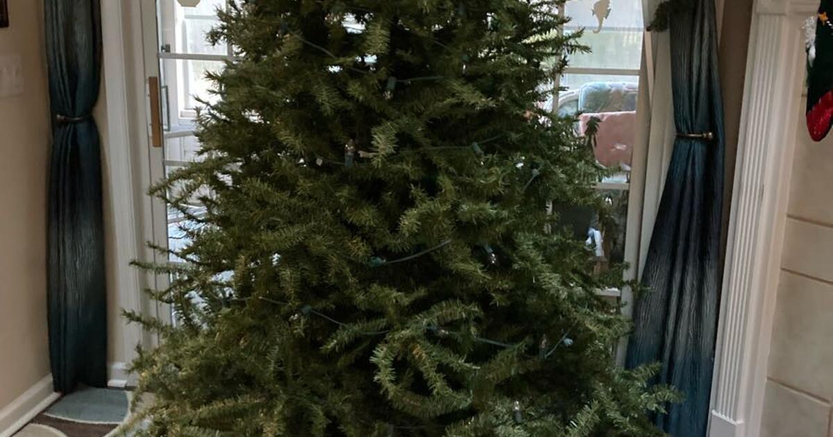 Free Beautiful Christmas Tree for Free in Carolina Shores, NC | For ...