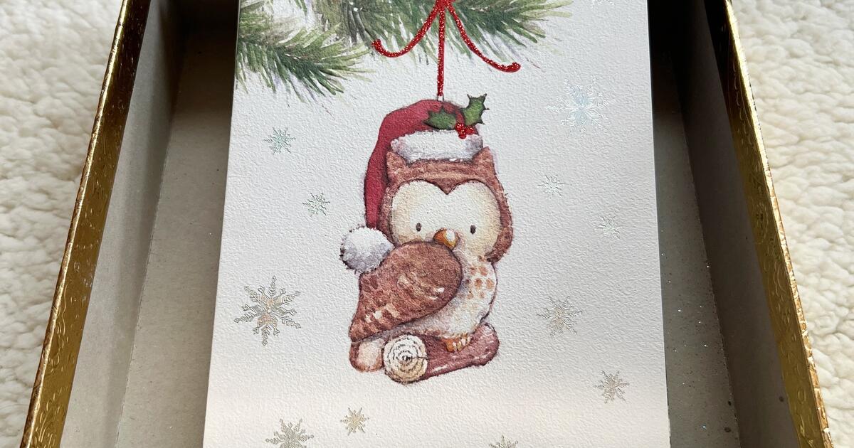 Christmas Cards & Envelopes with Cute Festive Holiday Owl Artwork (Set ...