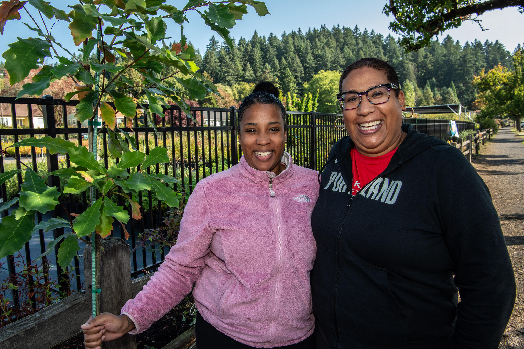 Did you know that the City of Portland gives away thousands of trees to ...