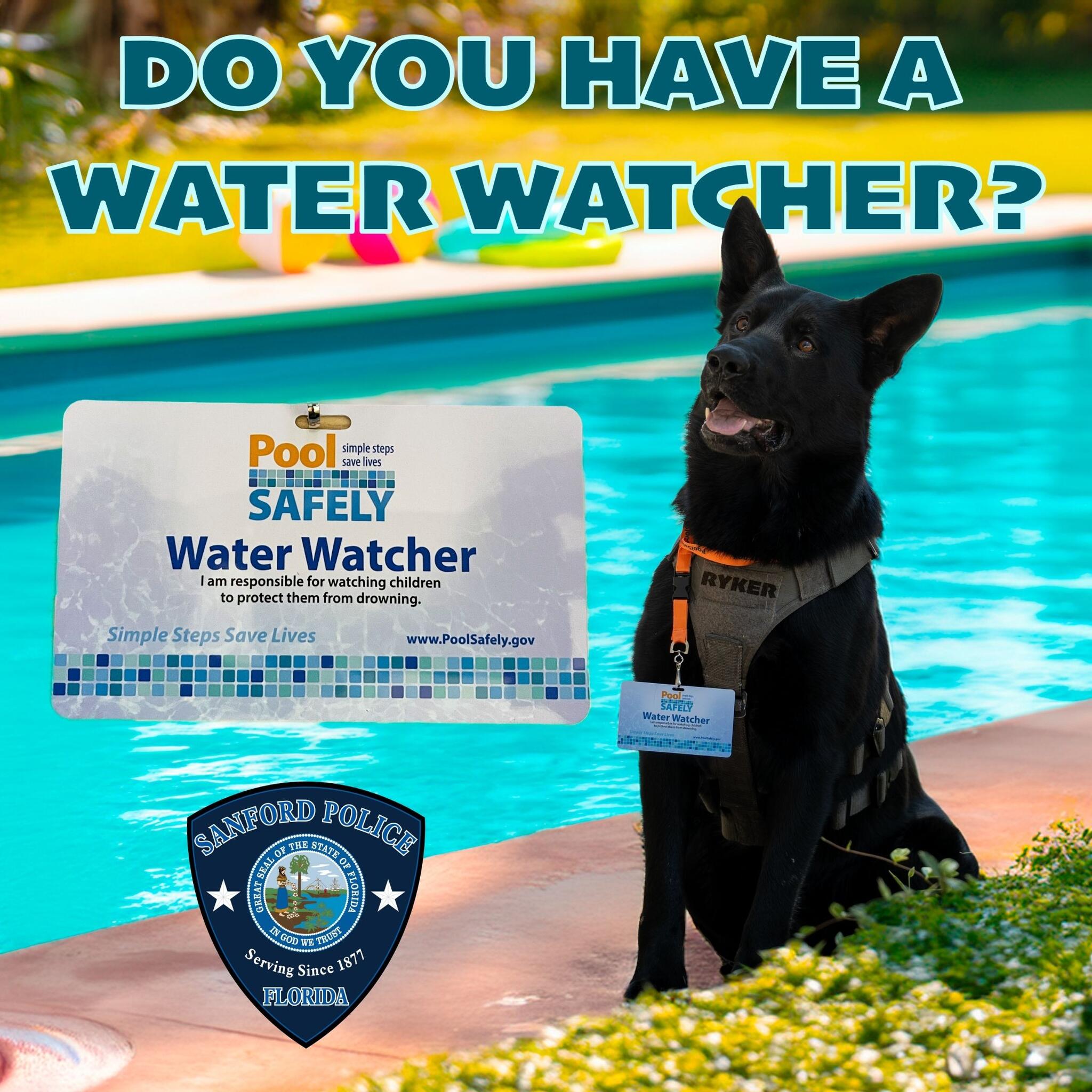 As summer fun begins, remember that water safety starts with good ...