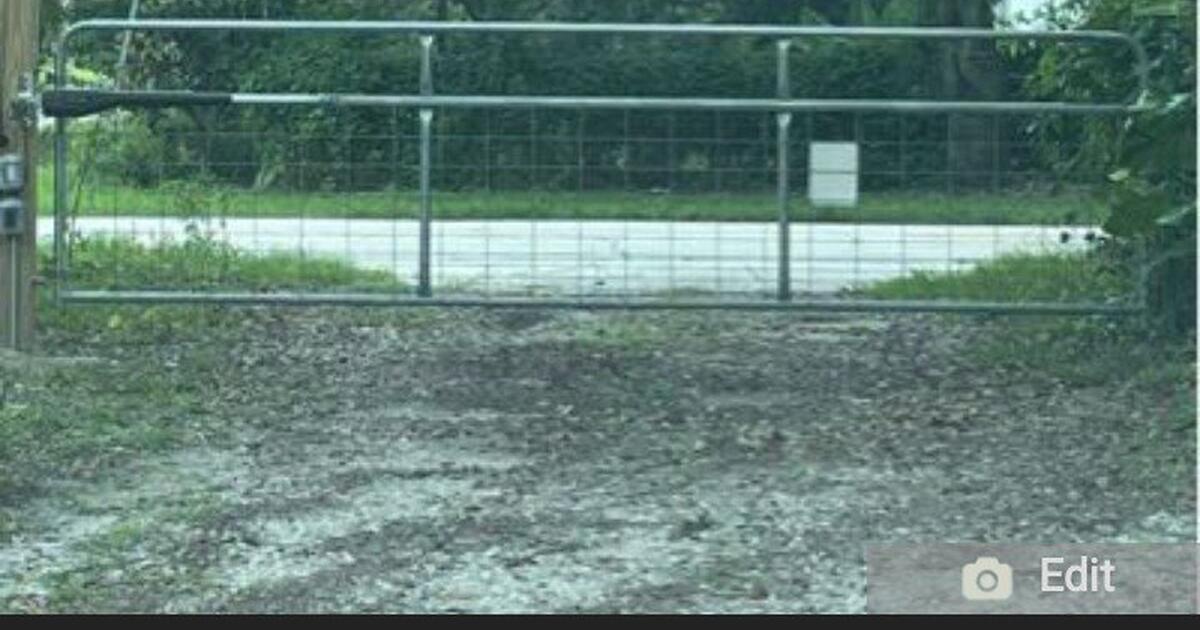 lost dog in Tampa, FL | For Sale & Free — Nextdoor