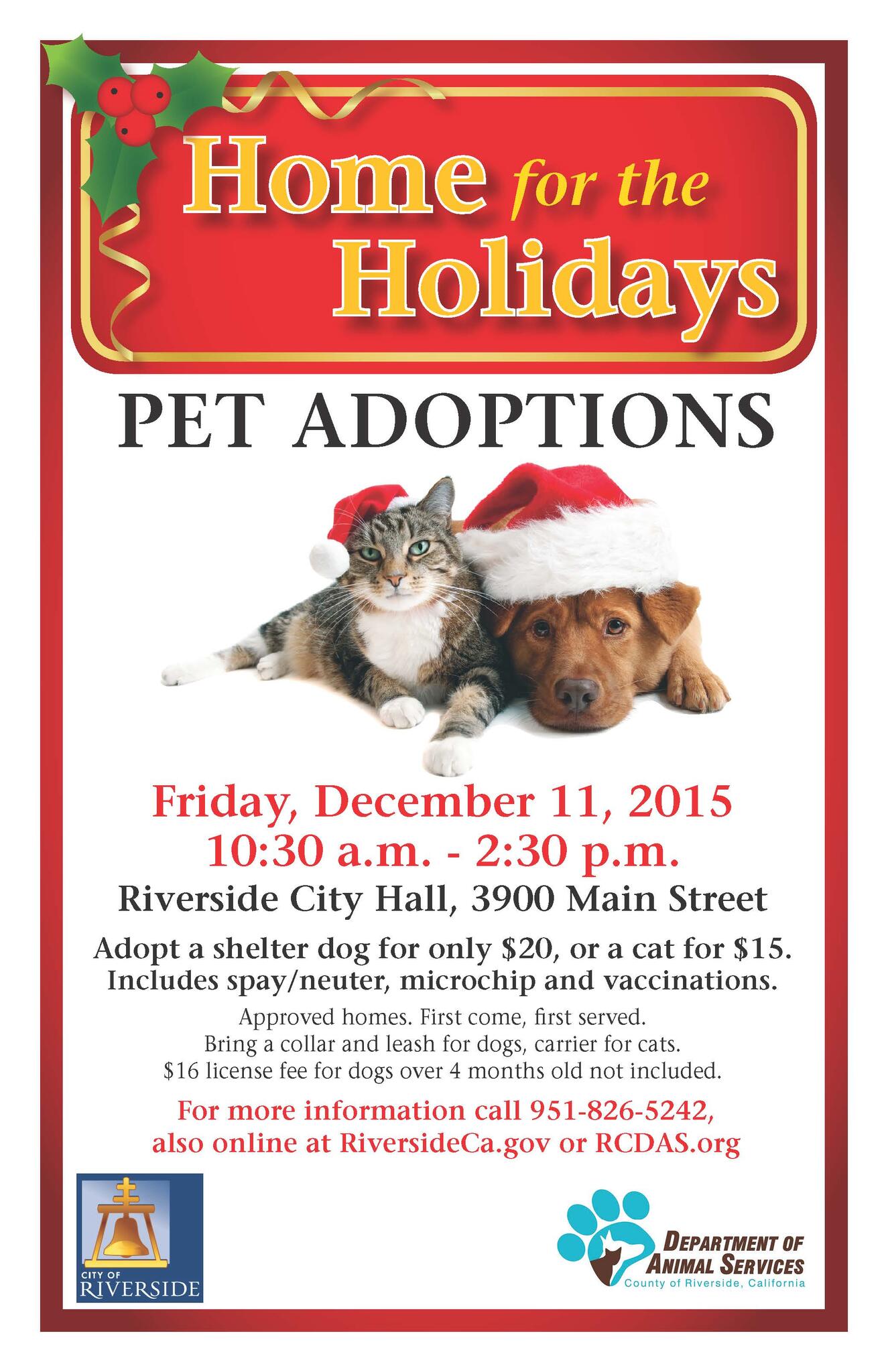 Home for the Holidays pet adoption event this Friday (12/11) (City of ...