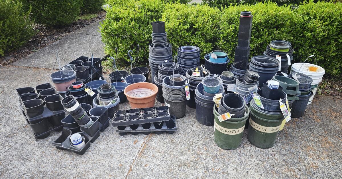 Assorted Plant Pots and Containers for Free in Franklin, TN | For Sale ...