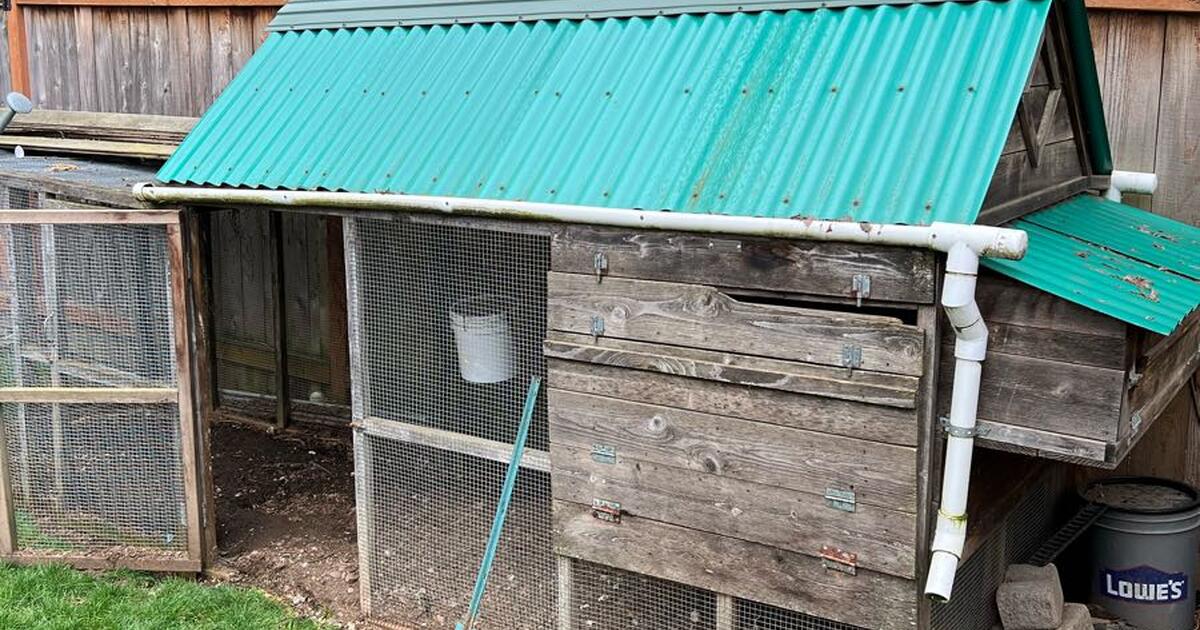 Chicken coop and run for Free in Seattle, WA | For Sale & Free — Nextdoor