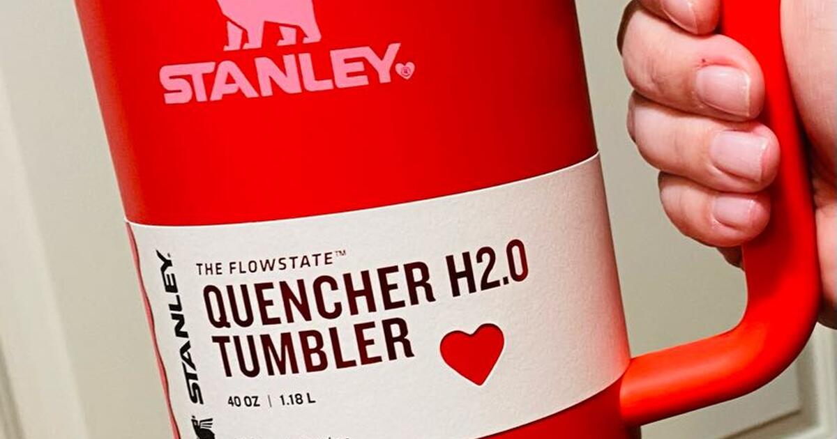 Stanley 40 oz Tumbler Red Valentines Day Brand New Target Exclusive ...