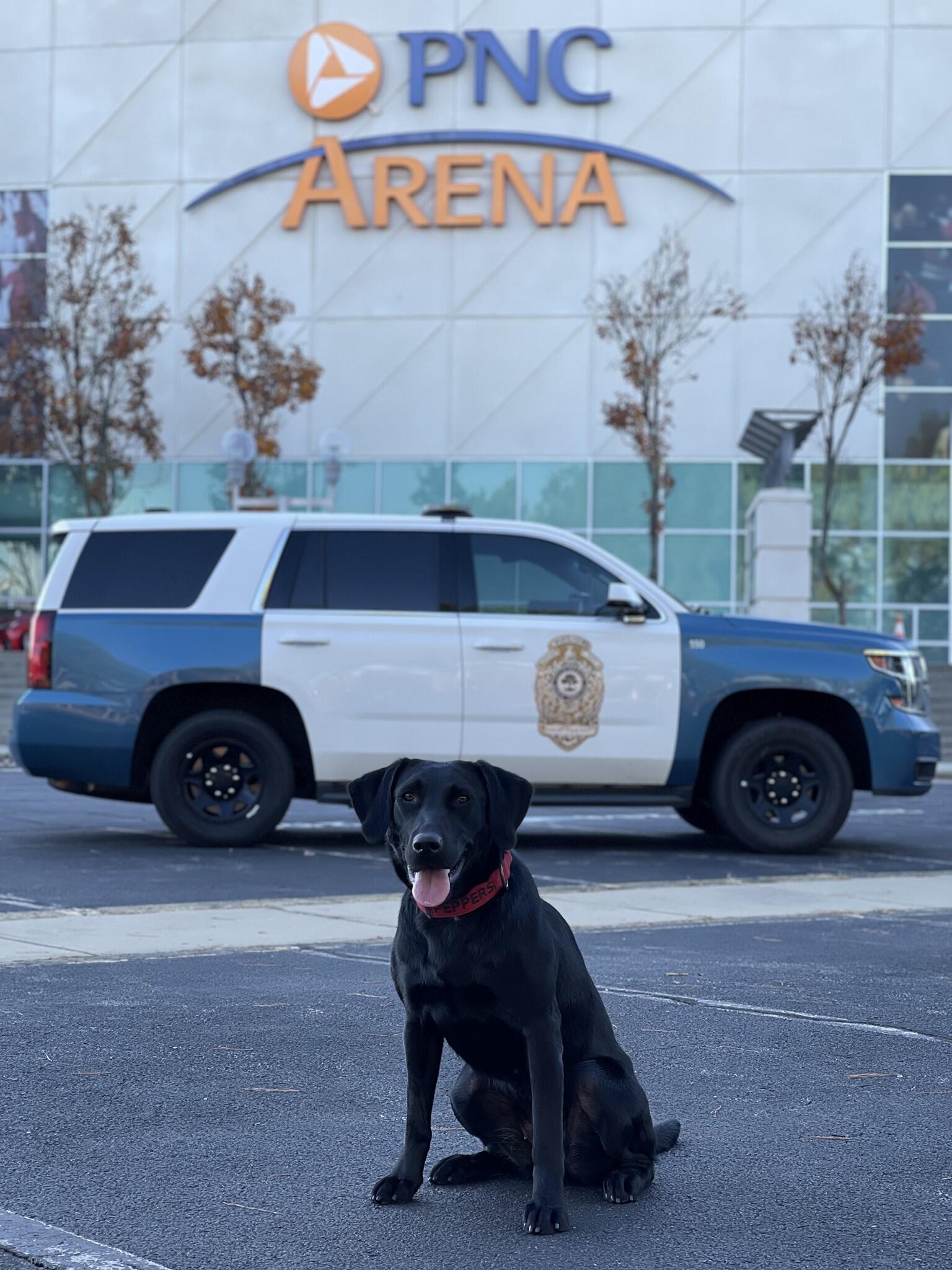 K9 Peppers to Participate in the United States Police Canine ...