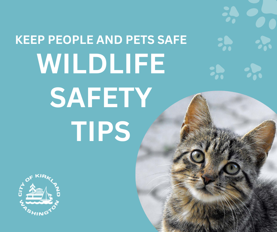 To help keep pets and people safe from wildlife, follow these simple ...