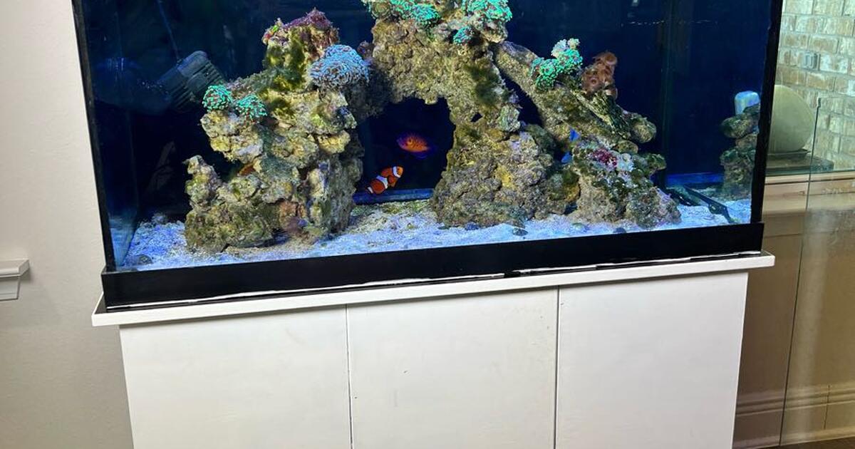 75 Gallon Aquarium Bundle + 20 Gallon Sump + HOB Overflow + Stand ...