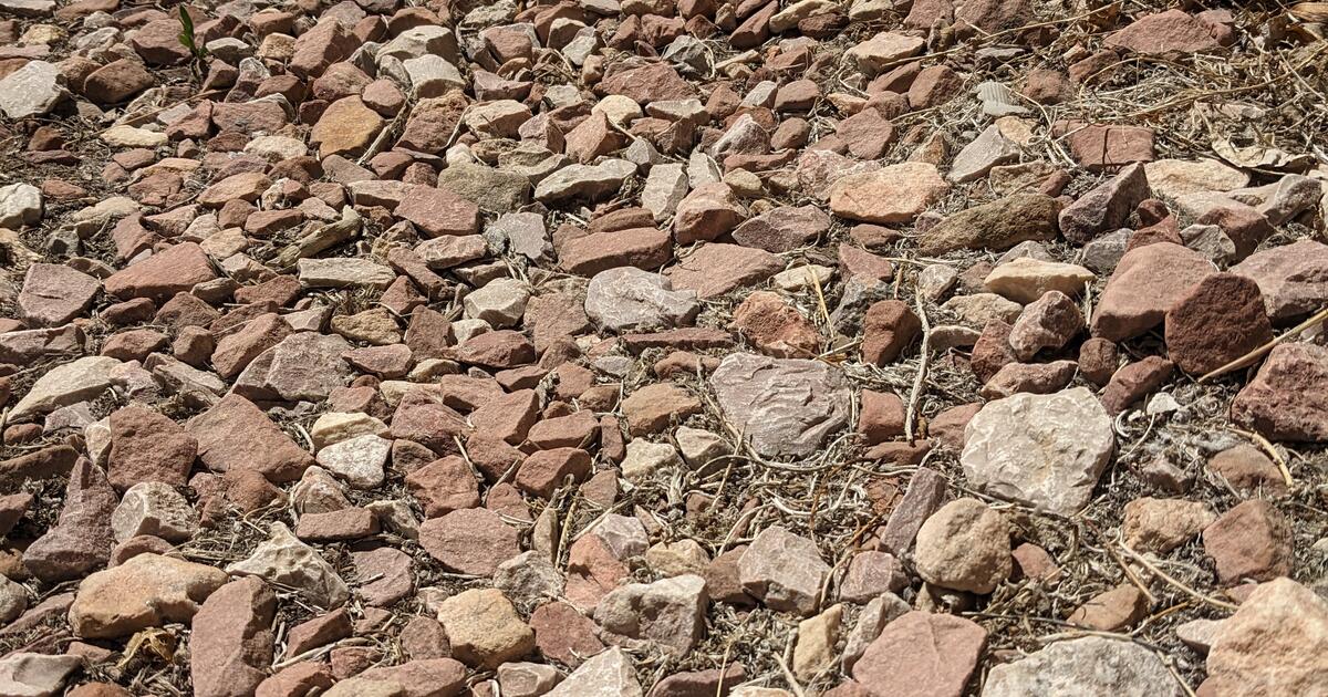 Free Landscaping Rocks! for Free in Denver, CO | For Sale & Free — Nextdoor