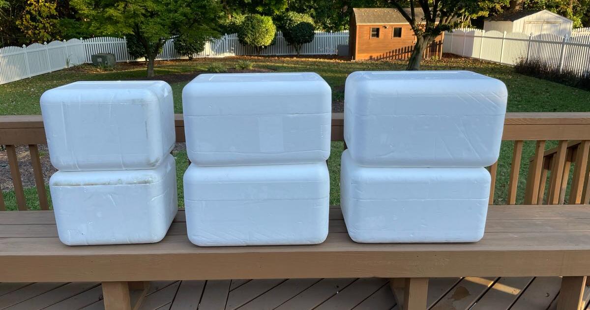 Set of 2 medium and 4 large Styrofoam Coolers for Free in Portsmouth ...