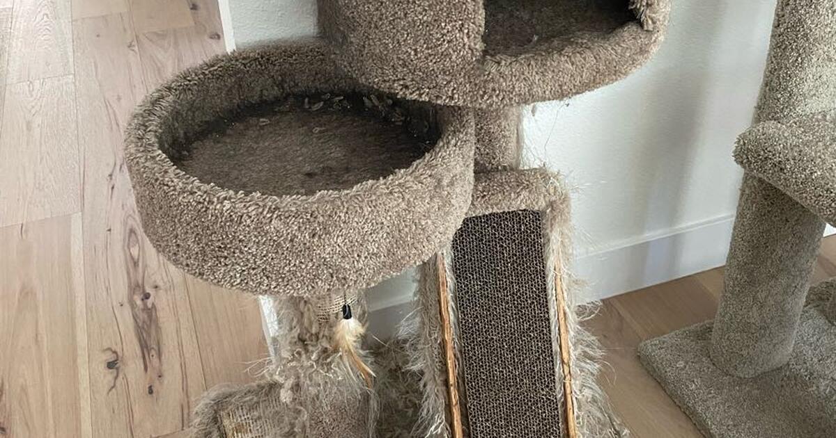 Cat condo for Free in Redwood City, CA | Finds — Nextdoor