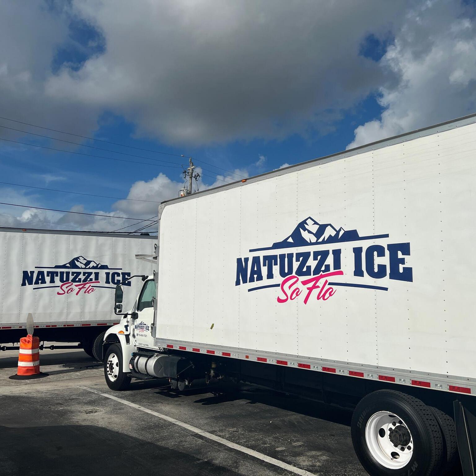 NATUZZI ICE SOFLO & DRY ICE - Fort Lauderdale, FL - Nextdoor