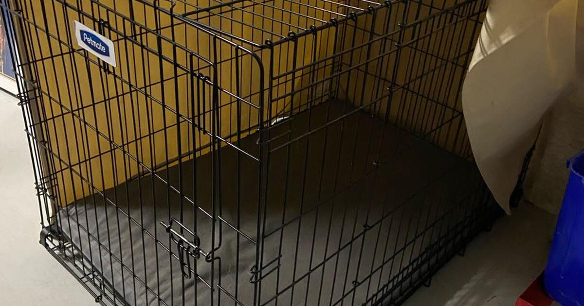 Large dog crate (collapsible) for Free in Mc Lean, VA | For Sale & Free ...