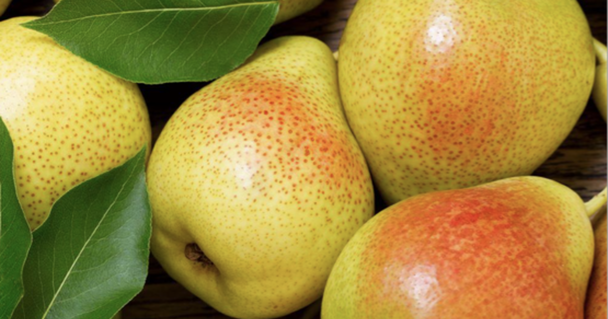 Pears needed for Free in Greenville, SC | For Sale & Free — Nextdoor