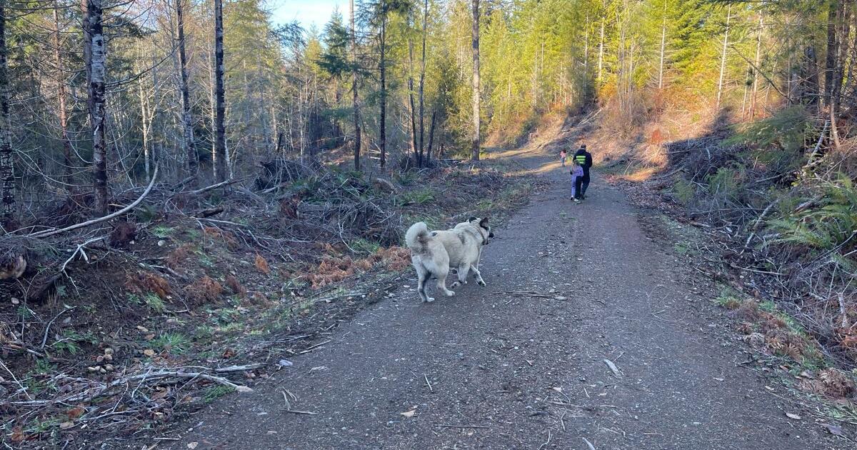 RV Lot for Rent for $800 in Seabeck, WA | For Sale & Free — Nextdoor