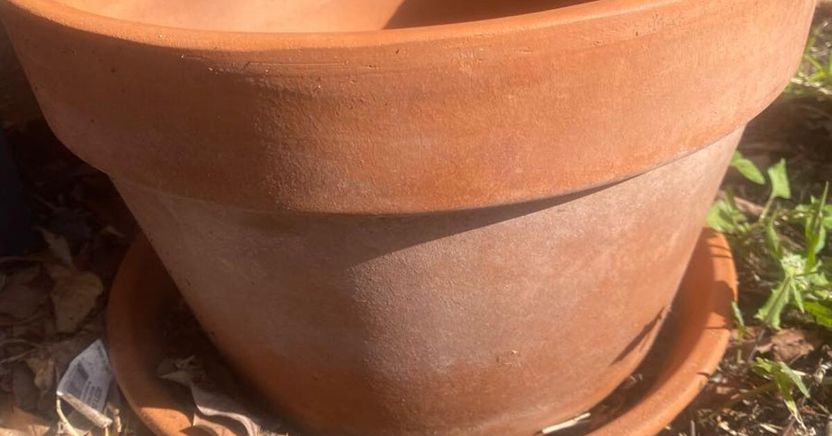 Terracotta Plant Pot 12 inches across for $12 in St. Petersburg, FL ...