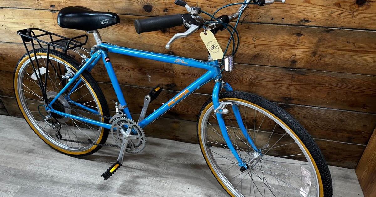 LL Bean Acadia Hybrid Bicycle for $250 in Loudon, TN | For Sale & Free ...