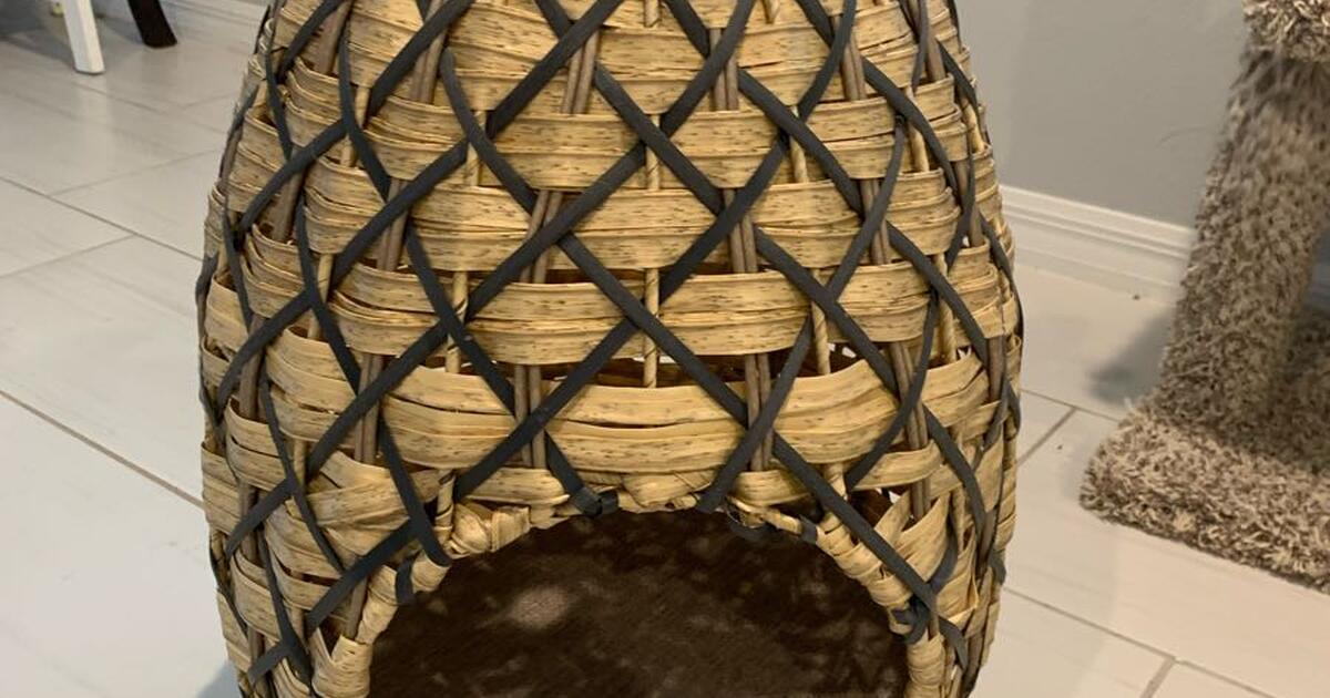 Cat house for $45 in Windermere, FL | Finds — Nextdoor