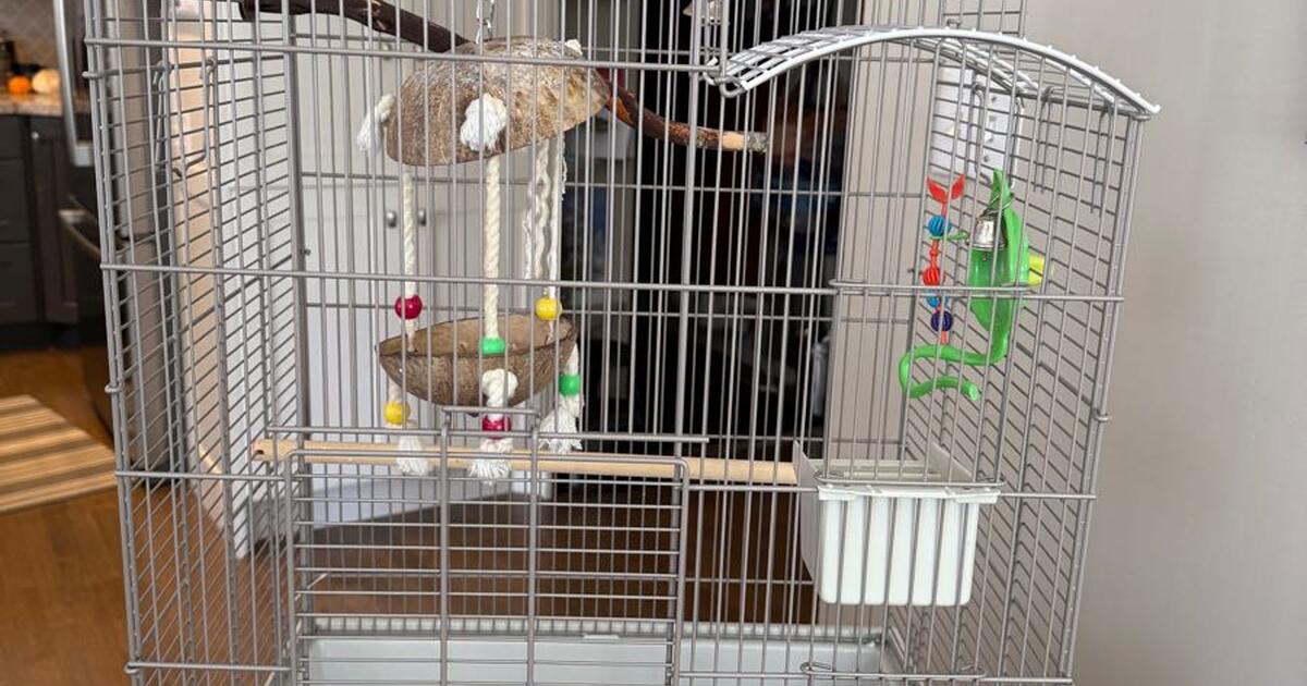 Large bird cage. Free for Free in Cottonwood Heights, UT | For Sale ...