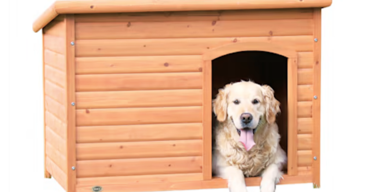 Large Weatherproof Dog House (Box Never Opened) New ! for $50 in ...