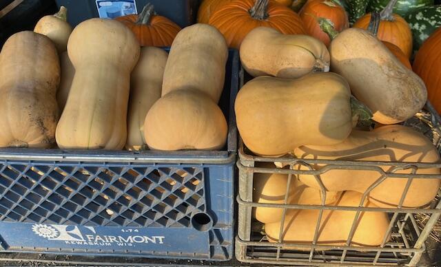 Kellner, Wisconsin Rapids | Everything You Need to Know