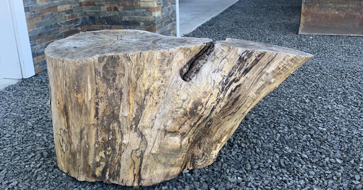 Maple stump for table? Pallets, for Free in Hansville, WA | For Sale ...