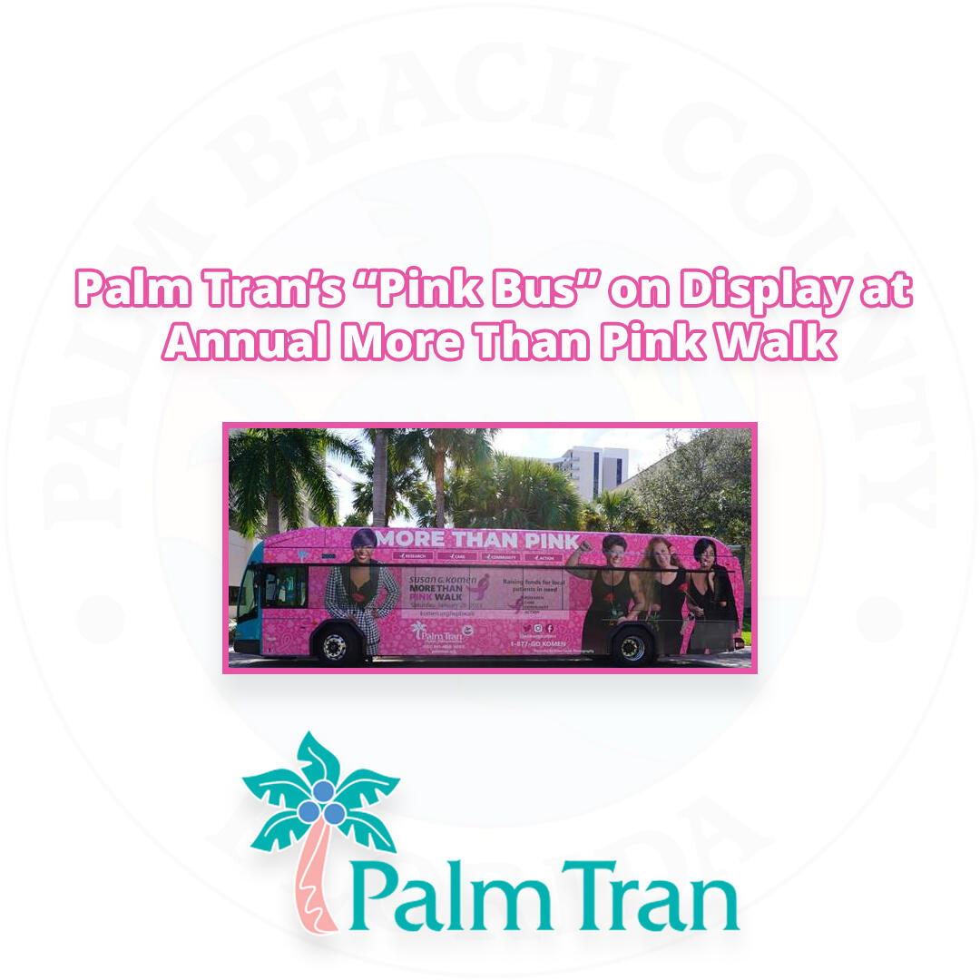 Palm Tran’s “Pink Bus” on Display at Annual More Than Pink Walk (Palm ...