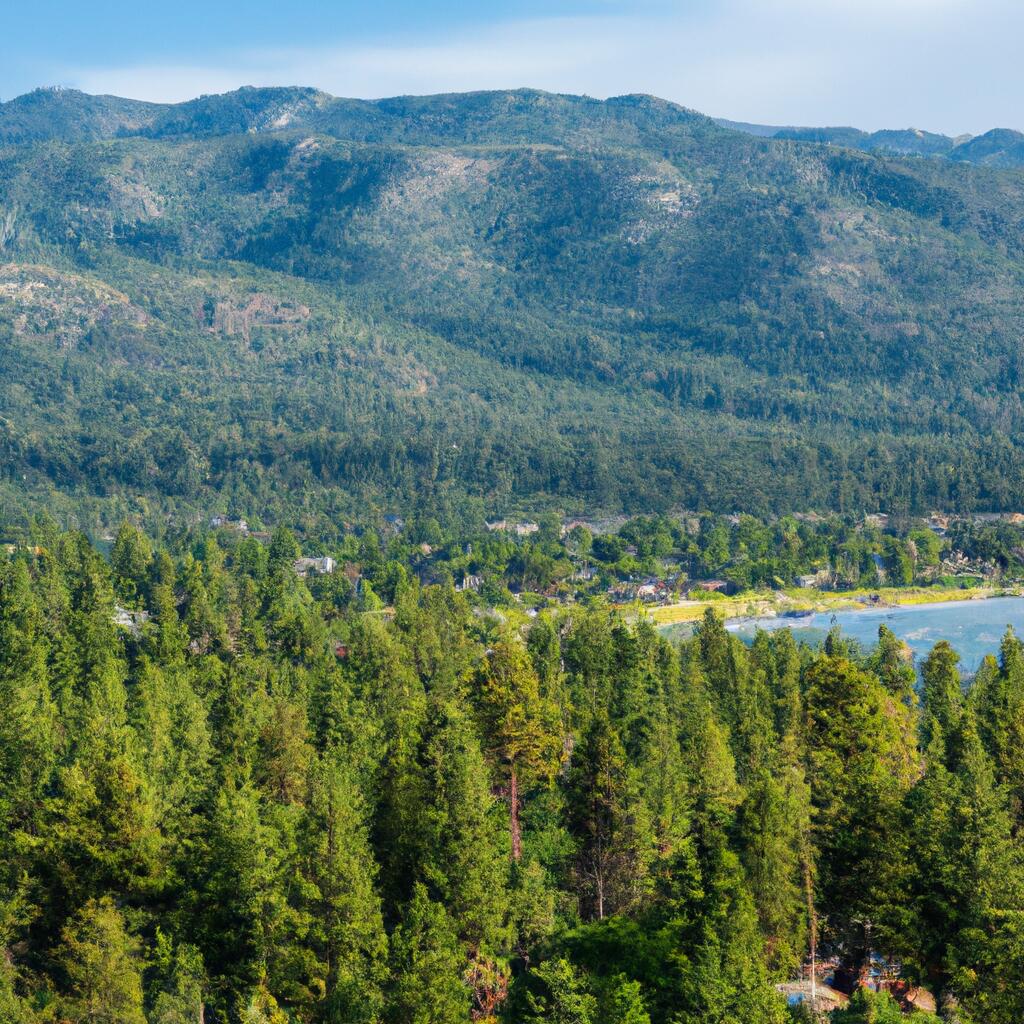 Tahoe Keys, South Lake Tahoe | Everything You Need to Know Nextdoor