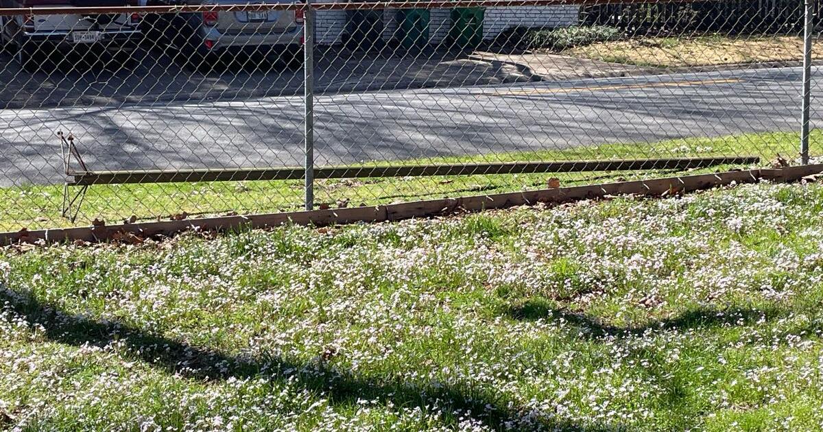 Scrap Metal - Pole for Free in Little Rock, AR | For Sale & Free — Nextdoor