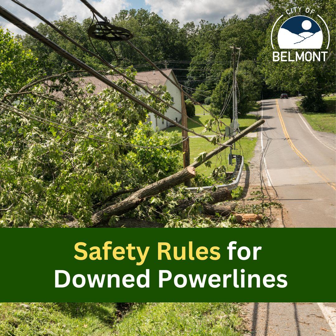 What to do if you encounter a downed powerline or traffic signal (City ...