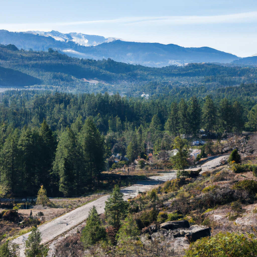 Gold Run South, Gold Run | Everything You Need to Know