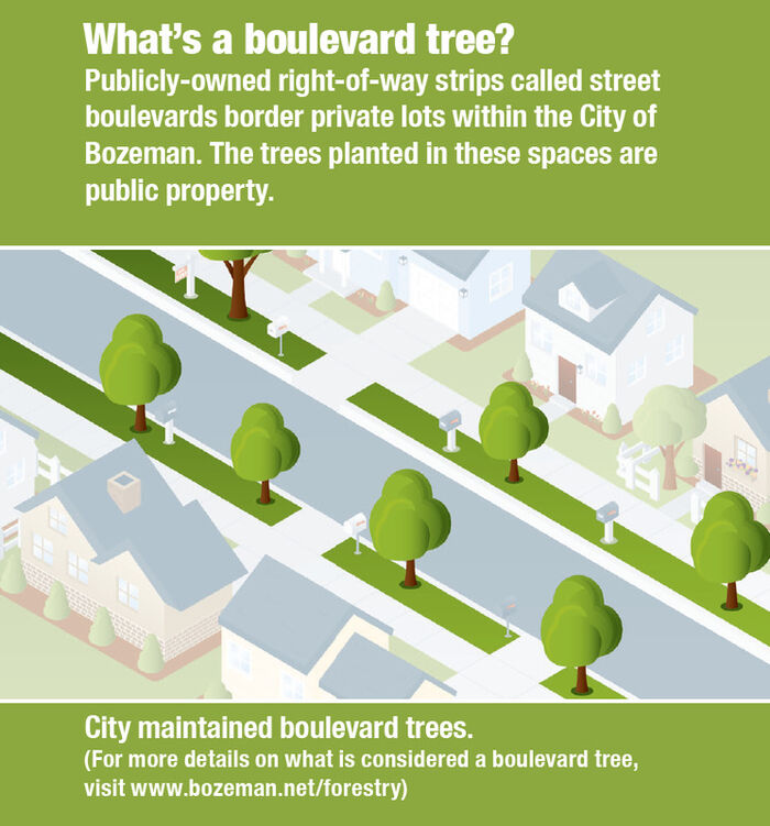 Forestry Division - Boulevard Tree Pruning Notice. (City of Bozeman ...