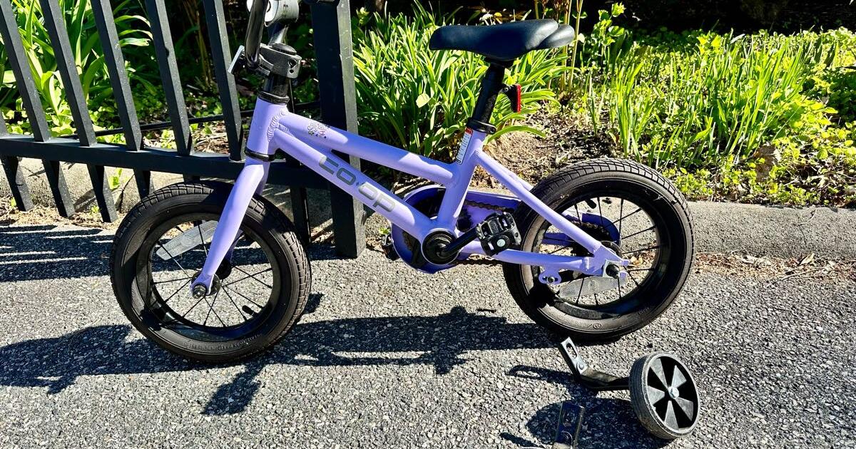 REI Co-op kids bike with training wheels for $50 in Newton, MA | For Sale & Free — Nextdoor